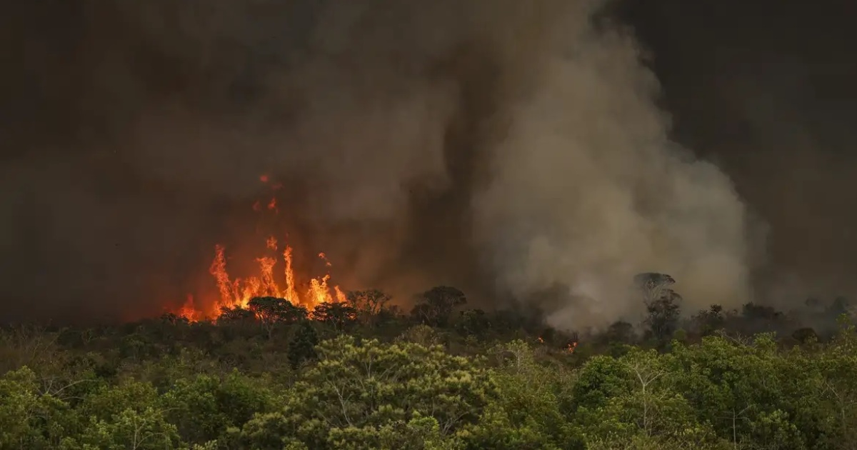 Incendios consumieron 30 millones de hectáreas en Brasil el año pasado ...