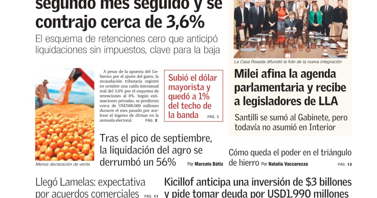 Cayó la recaudación por segundo mes consecutivo y Milei prepara el ...