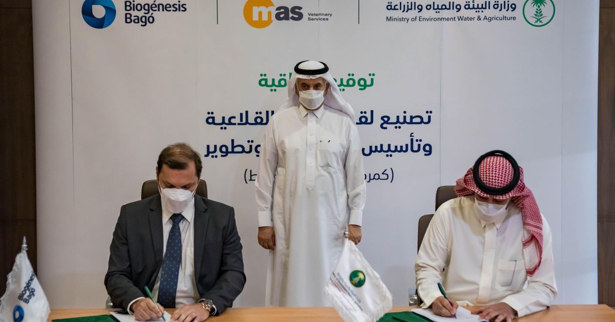 La argentina Biogénesis Bagó construirá una fábrica de vacunas ...